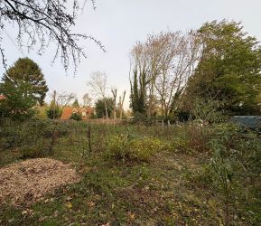 View all of our properties available at the forthcoming Auction Estates ...