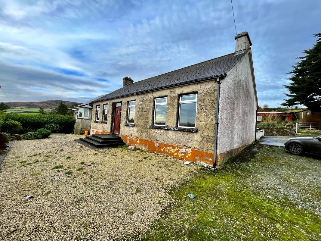 Search Results - Online Auctions