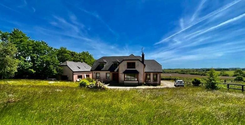 Search Results - Online Auctions