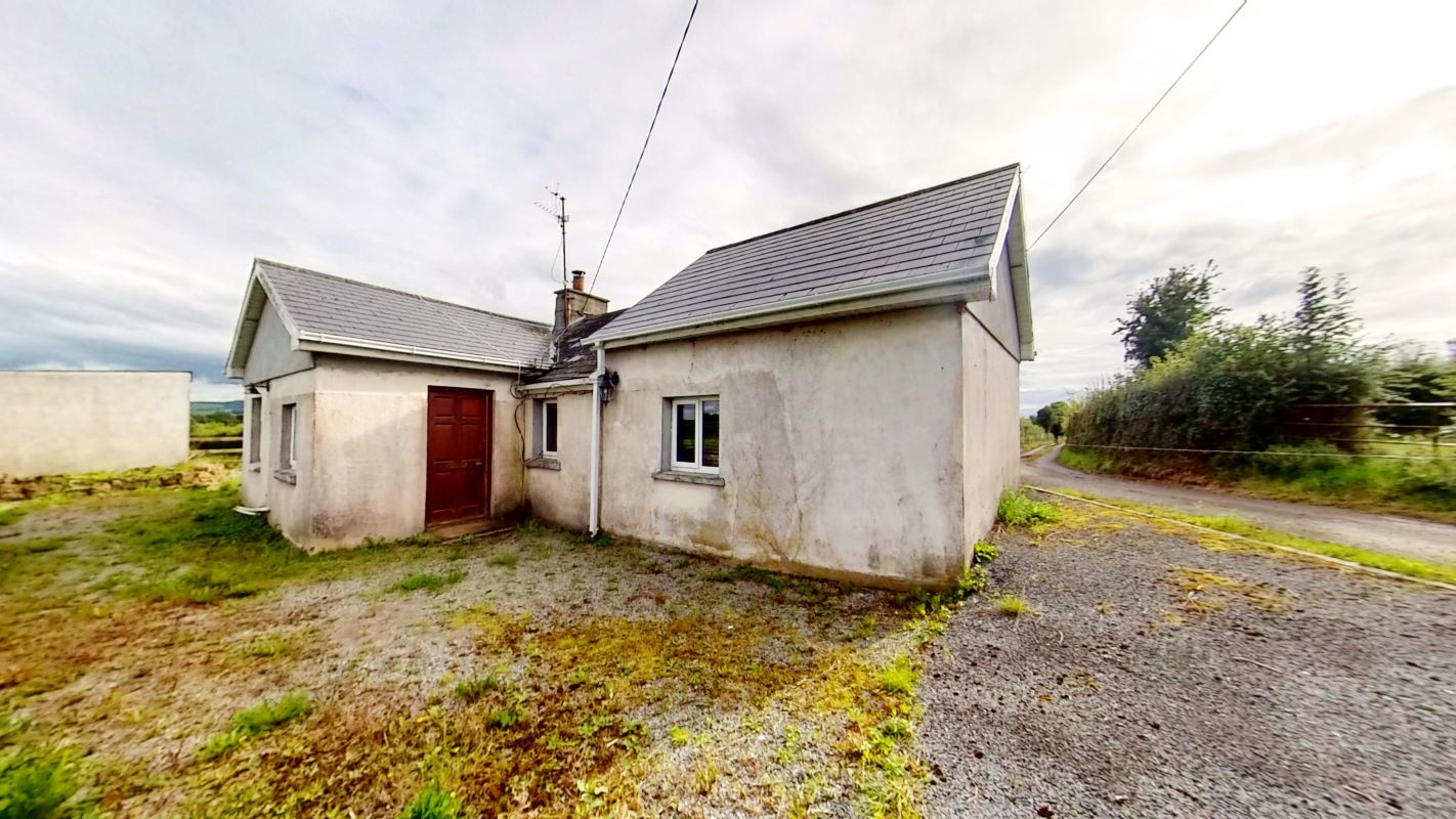 Search Results - Online Auctions