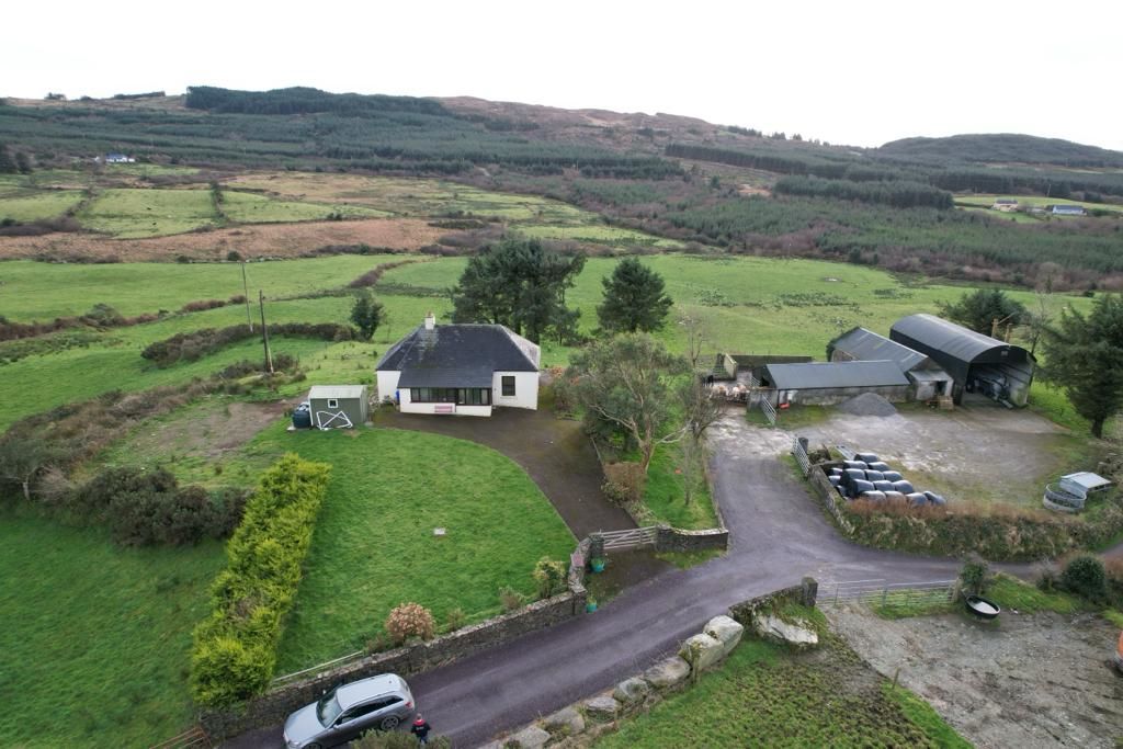 Search Results - Online Auctions