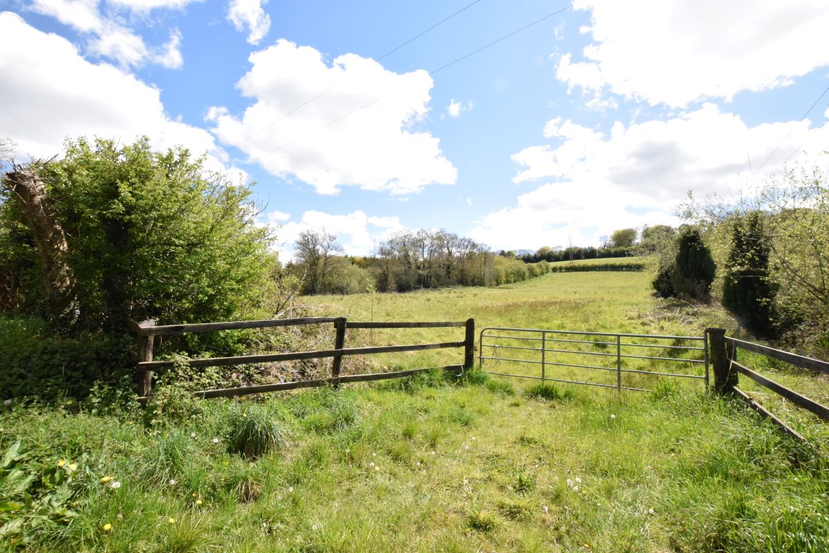 DNG Online Auctions | Search Results