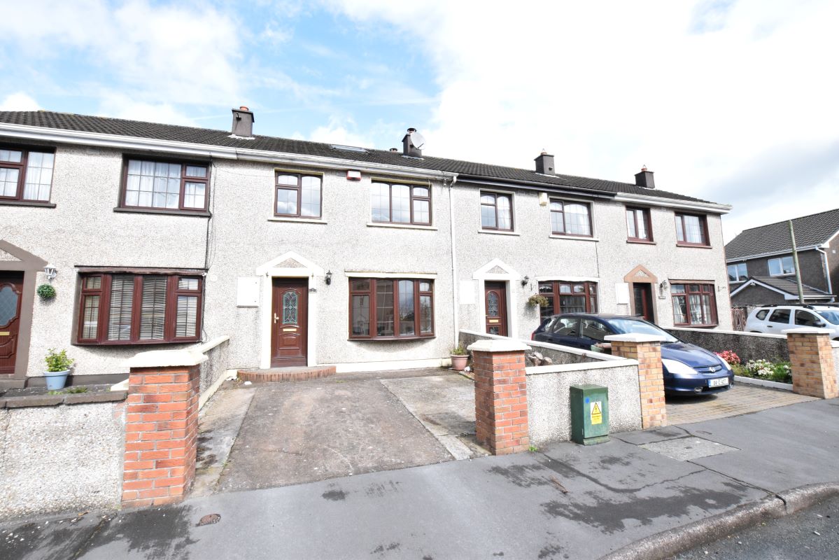 DNG Online Auctions | Search Results