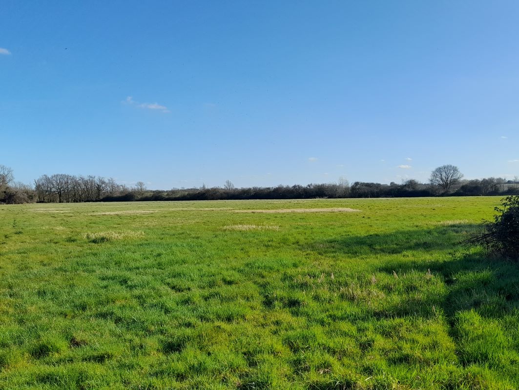 Old Fen Drove for sale at auction on 21 Sep 2022 02:00 PM