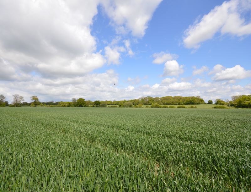 Land at Braughing Friars, Nr Ware for sale at auction on 24 Jun 2015 02 ...