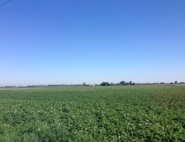 21.39acres at Rand Drove for sale at auction on 28 Sep 2016 02:00 PM