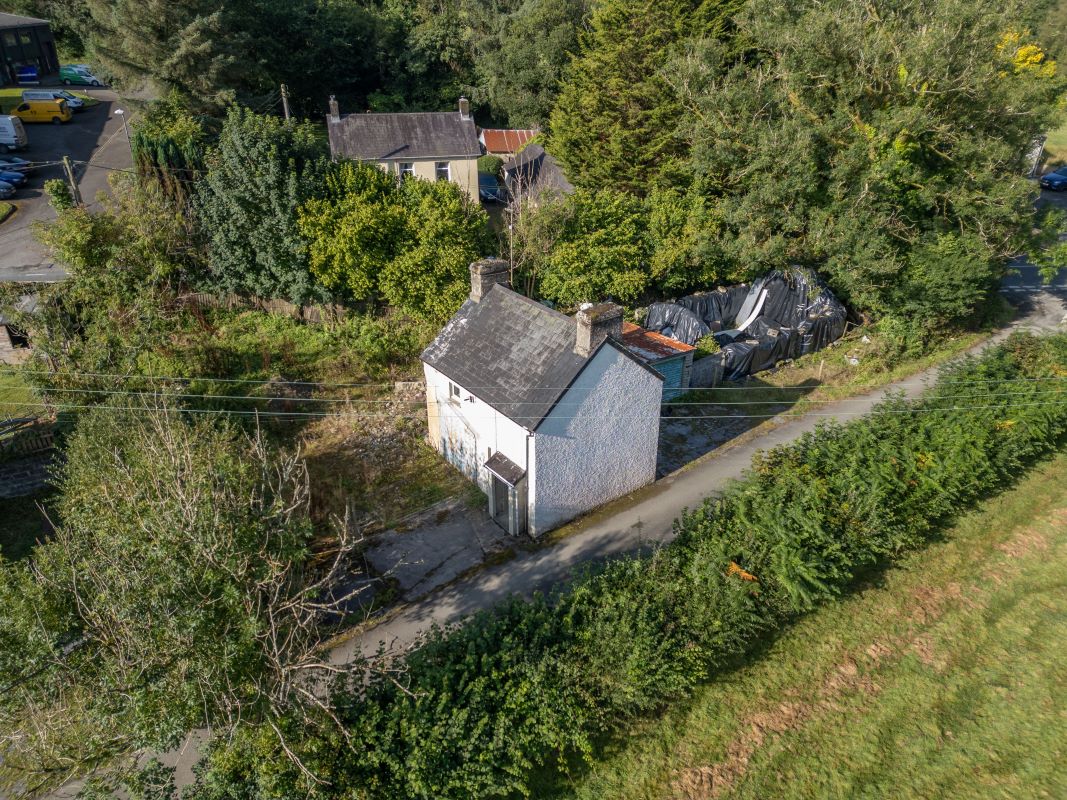 Search Results - Online Auctions