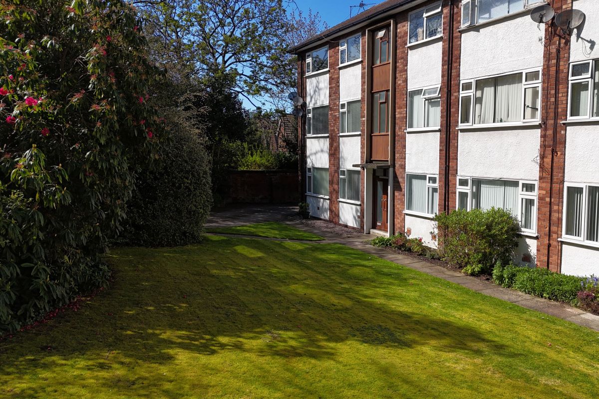 Search Results - Online Auctions