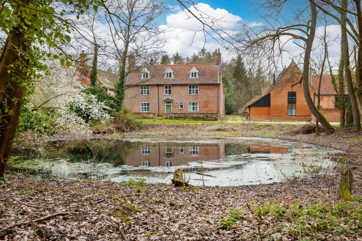 Search Results - Online Auctions