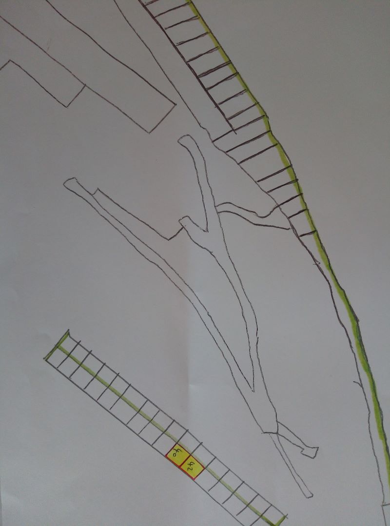 Search Results - Online Auctions