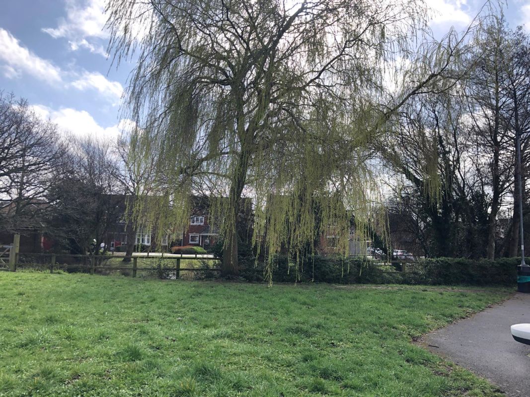 Land @ Rosemere Drive, Chester, Cheshire, CH1 6PD