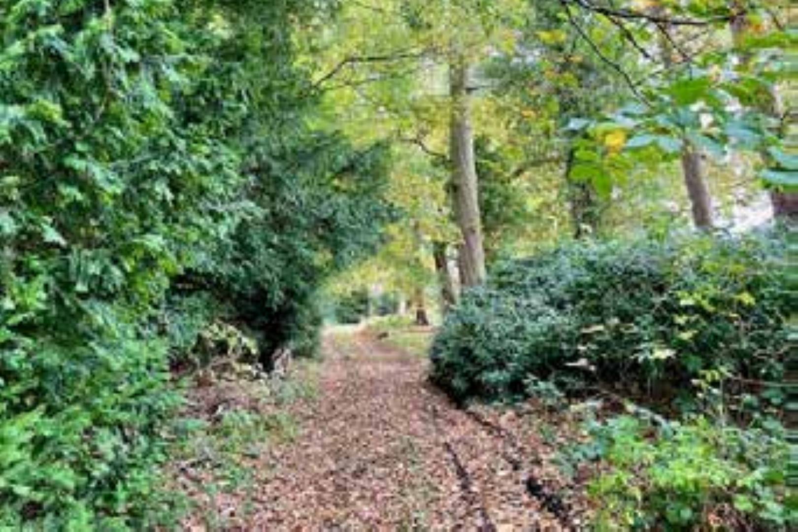 Pen y Lan, Pontfaen, Chirk, Wrexham, LL14 5EN